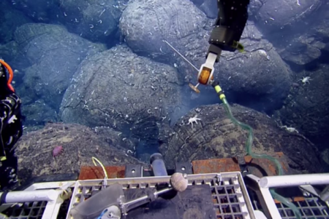 Dramatic Changes to the Geology of the Galapagos Rift | Nautilus Live