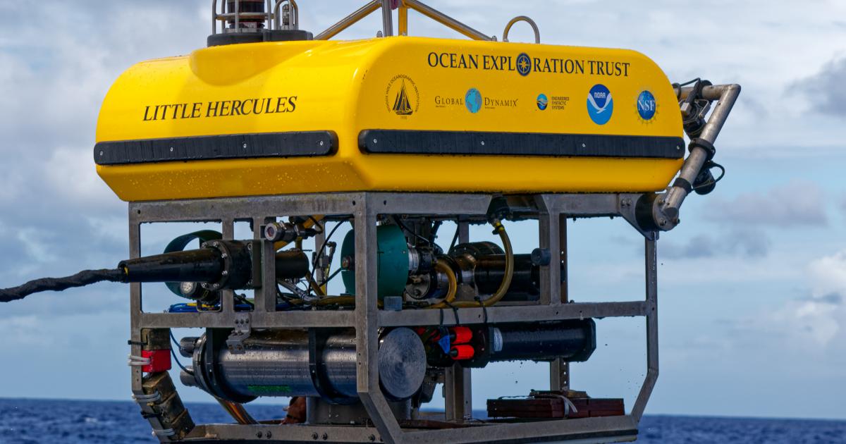ROV Little Hercules | Nautilus Live