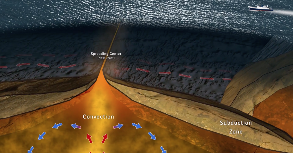 Tectonic Plates Teaching Animation | Nautilus Live