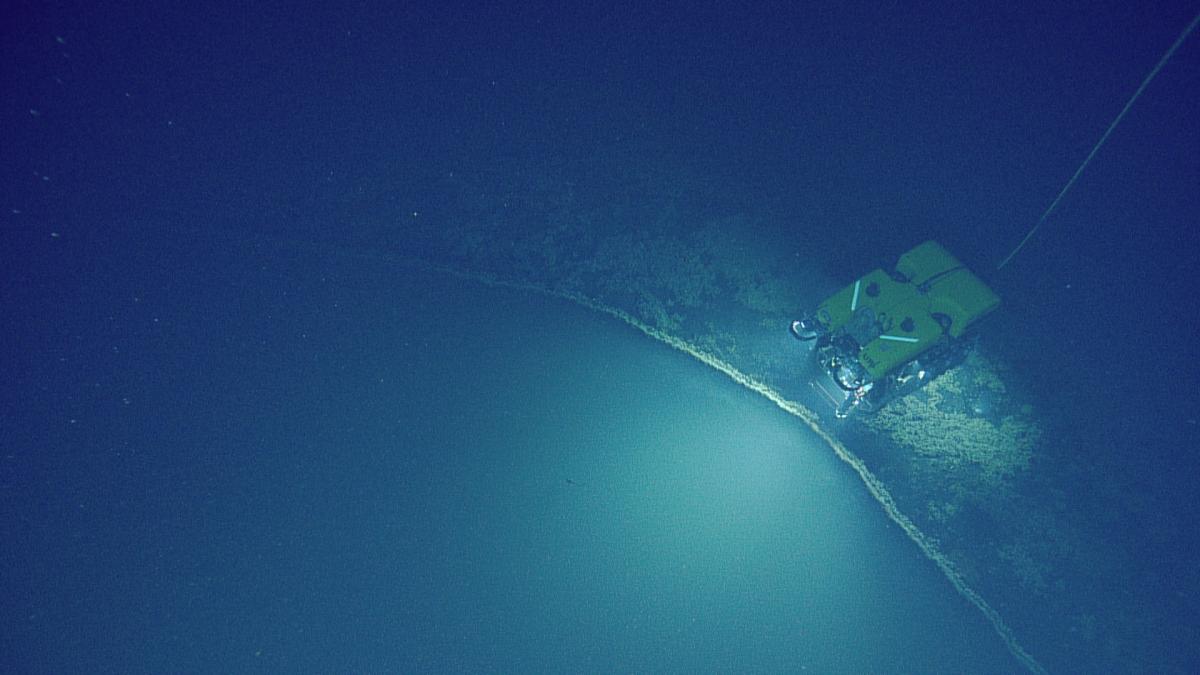 Going for a Swim...Underwater | Nautilus Live