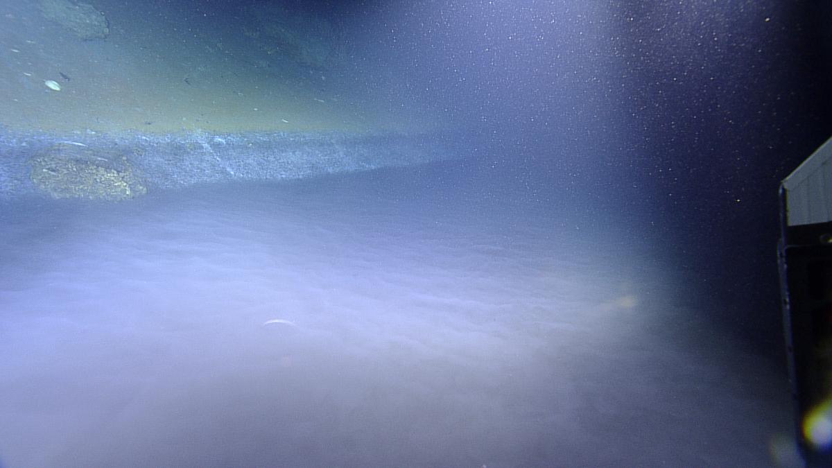 Spectacular Underwater Brine Lake | Nautilus Live