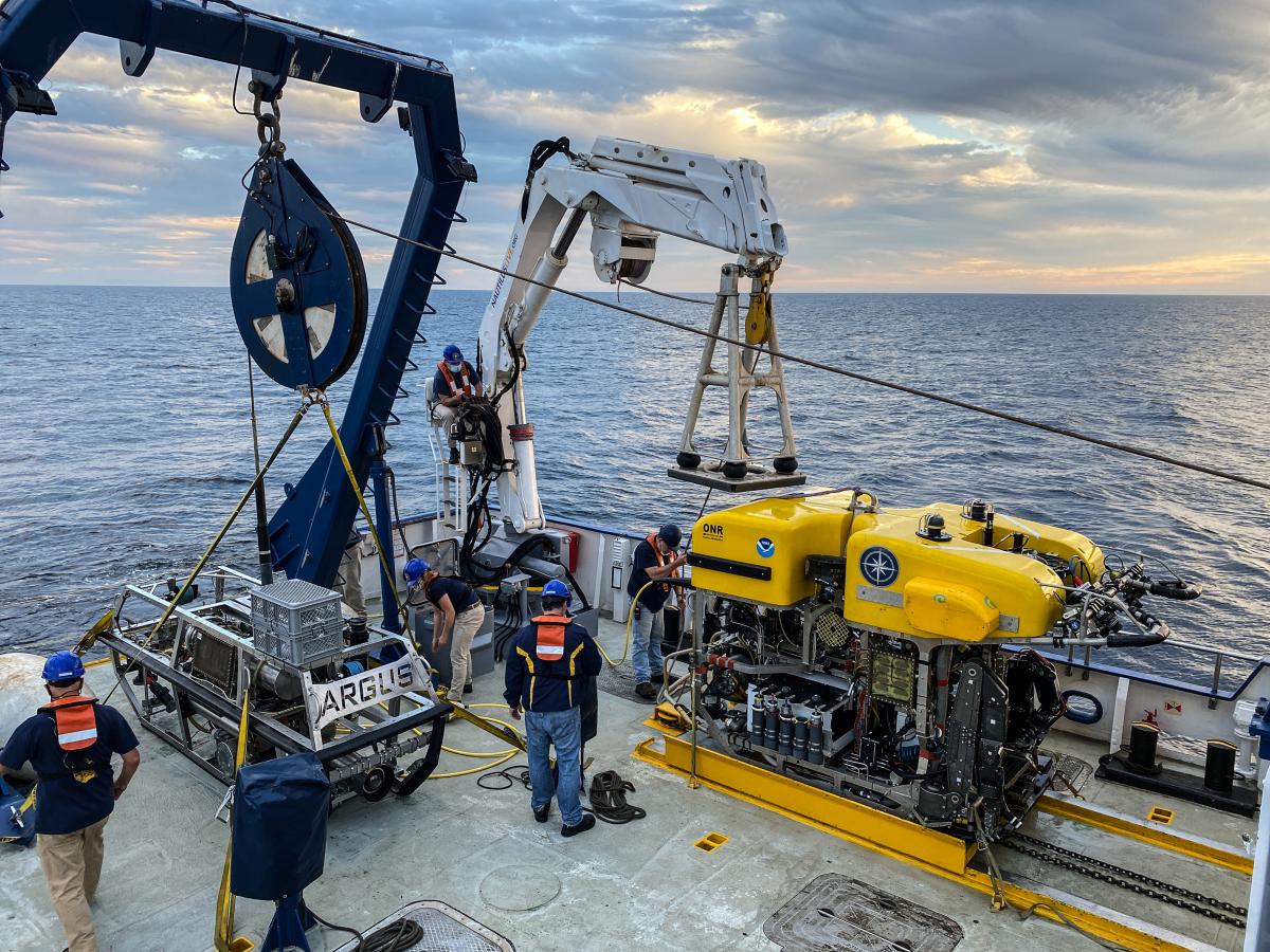 Exploring the World’s Ocean with ROV Hercules | Nautilus Live